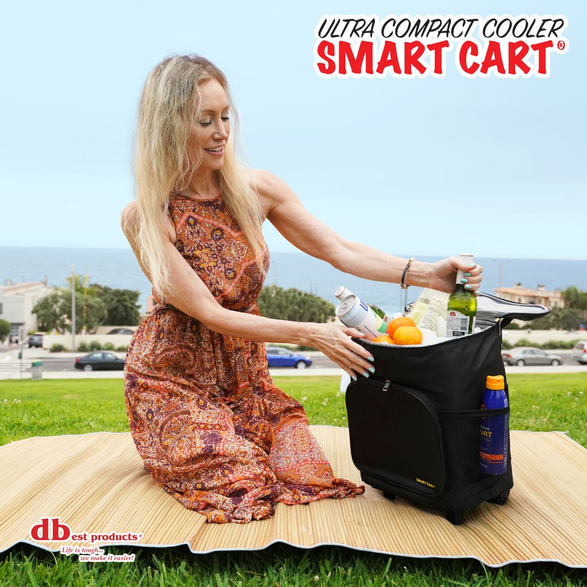 Ultra Compact Cooler Smart Cart® - dbest products